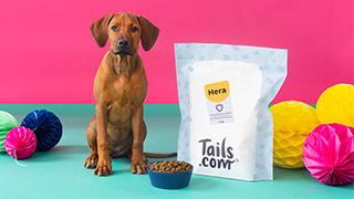 Latest Pet Freebies - food, treats and toys for cats and dogs