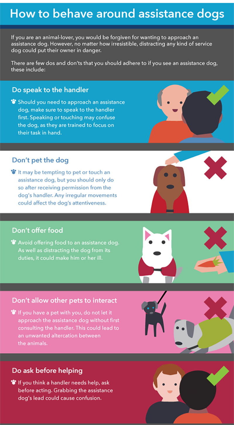 Assistance Dogs Behaviour Guide