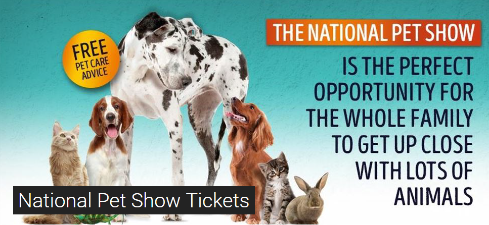 Top 20 Pet Freebies - free stuff for cats and dogs