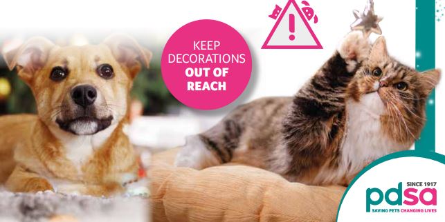 Free PDSA Survival Guide for Pets